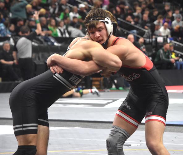 4 Panthers compete at state to finish season | Sports | southernminn.com