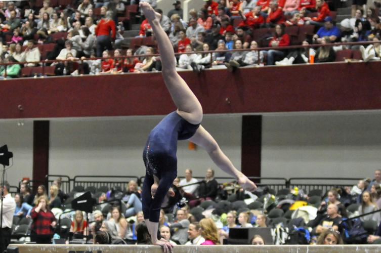 Tish shines bright on the biggest stage | Sports | southernminn.com