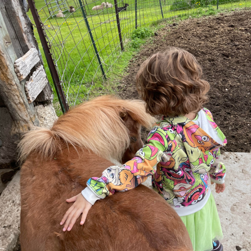 Farmamerica set to host first ever Barnyard Babies event | Waseca ...