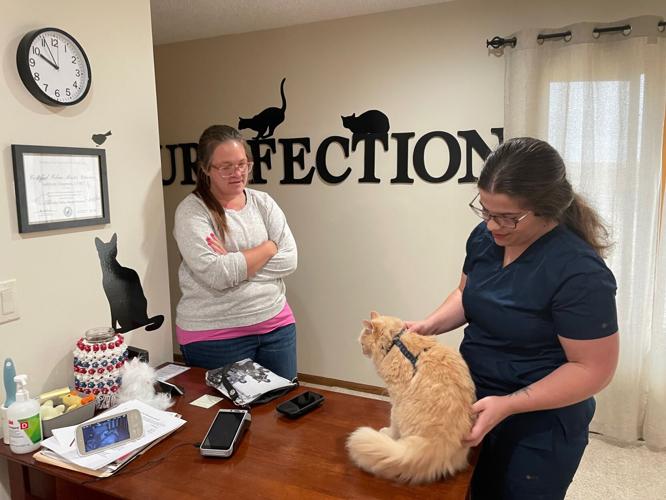 Purr-fection cat grooming opens in Northfield | News | southernminn.com
