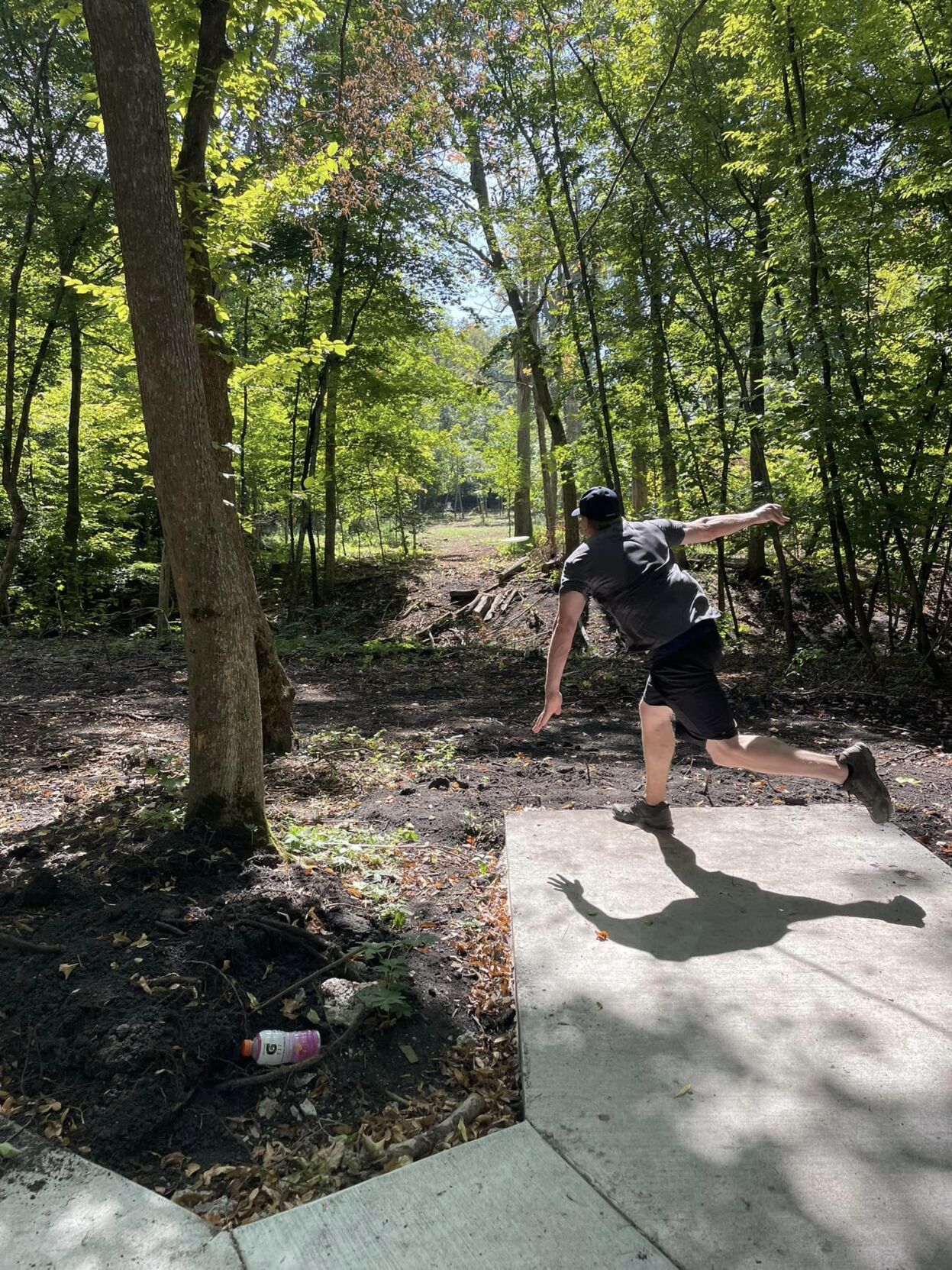 Waseca County opens disc golf course at Courthouse Park | News ...