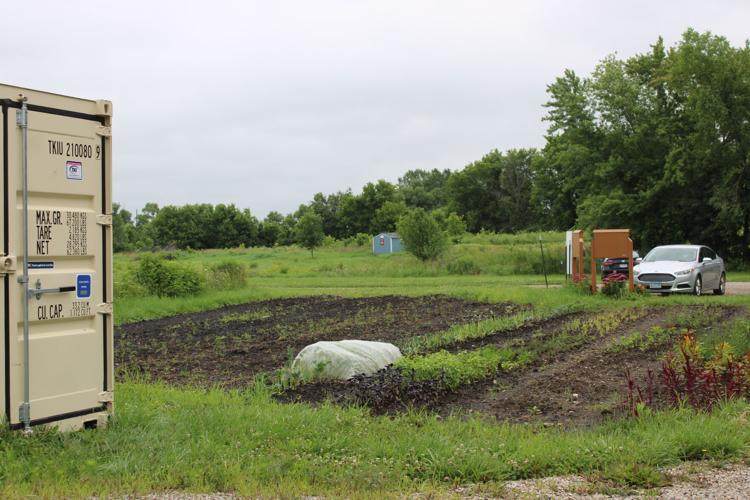 With record rainfall, Sharing Our Roots farmers struggle for profits ...