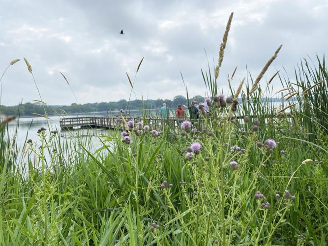 Parks tour gives commissioners a close up view of 'amazing' county ...