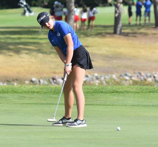 The week that was from Owatonna People's Press | Police | southernminn.com