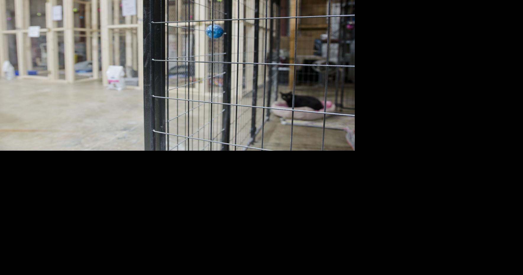 Cat structures | | southernminn.com