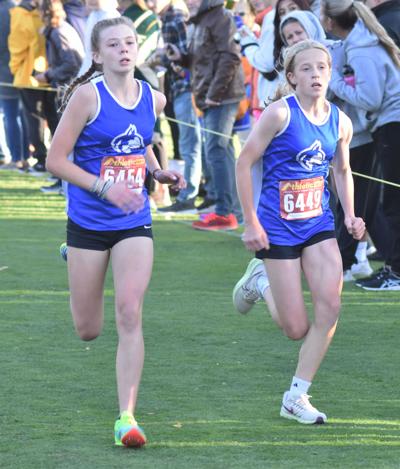 Owatonna girls take 1st, boys 2nd at Albert Lea Invitational | Sports ...