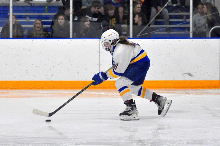 The week that was from Waseca County News (copy) | Medicine ...