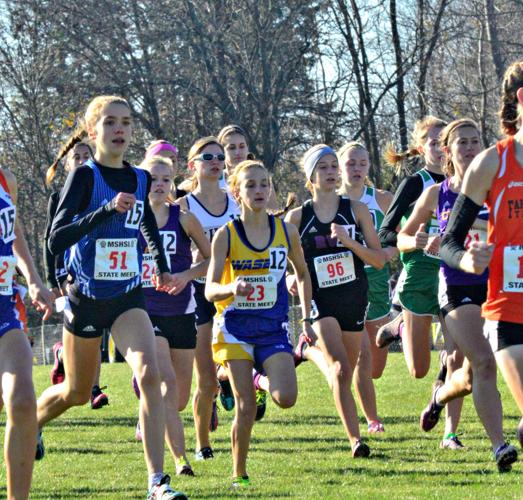 Waseca's Streich, Dufault finish in the top half at state | Sports ...