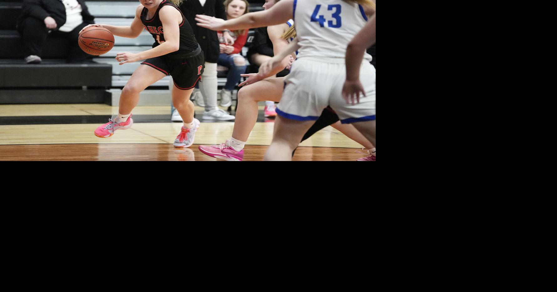 No. 2 NRHEG holds off No. 7 Waseca in Sub-Section quarterfinals | Sports | southernminn.com