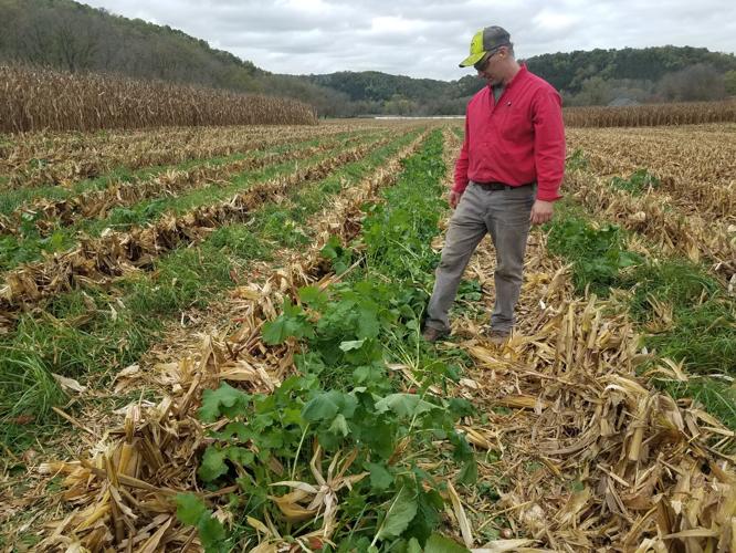 Area farmers promote cover crops to better soil health | News ...