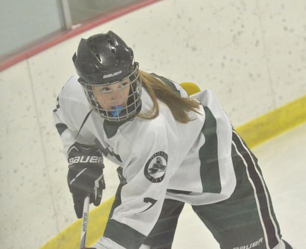FHS girls hockey erases three-goal deficit in win vs. Waseca | Sports ...