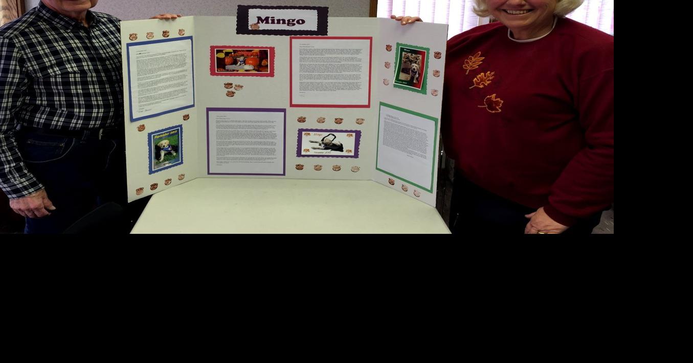 'Mingo' the dog trains for future seeing-sye role thanks to Wanamingo ...