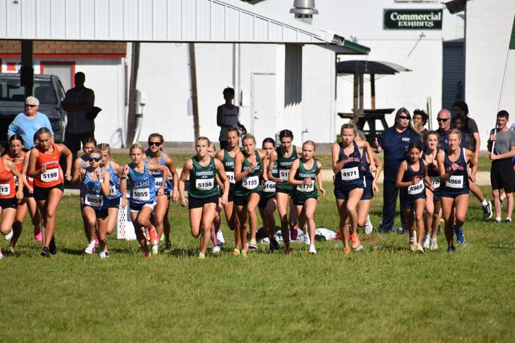 Faribault cross country posts solid finishes at invitational | Sports ...