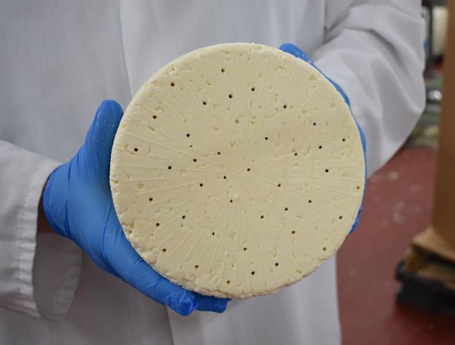 Cheese aged in Faribault wins top honor but not yet on store shelves ...