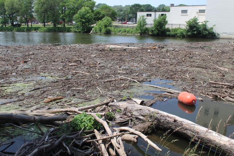 Cannon River log jam stuck under downtown Northfield bridges | News ...