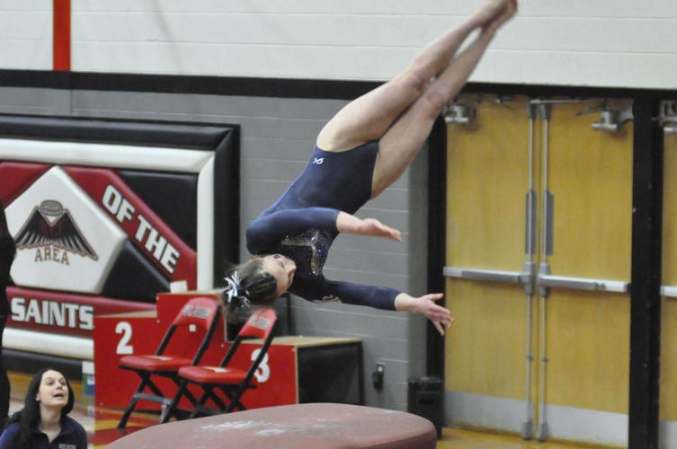 Tish earns trio of bids to MSHSL Gymnastics State Championships as ...