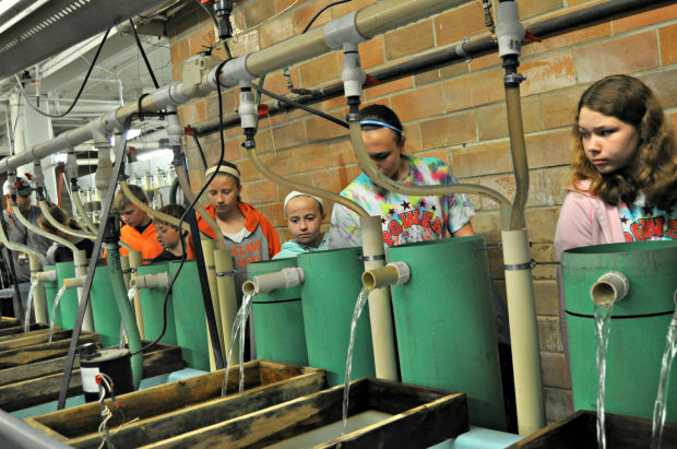 Students from Cleveland tour Waterville fish hatchery | News ...