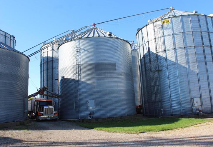 CENTURY FARM: Sam honors his forefathers' work while planing for the ...