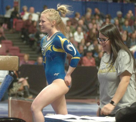 Hannah Petry concludes 3-time state tournament appearance | Sports ...