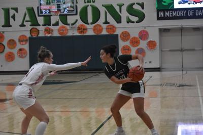 Falcons score bounce back victory in win over Hibbing | Sports ...