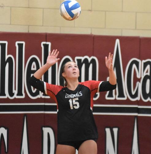 Cardinals defeat Bulldogs on Dig Pink night | Sports | southernminn.com