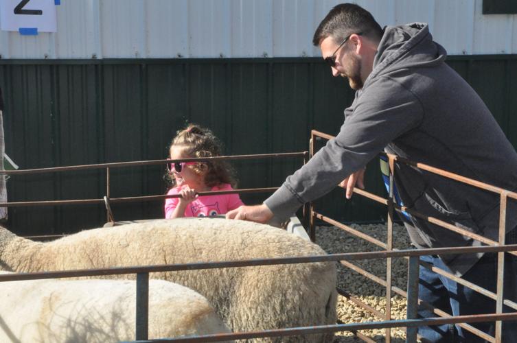 Crowd jumps in for 2017 Breakfast on the Farm | News | southernminn.com
