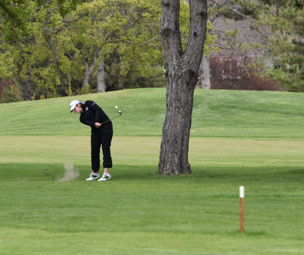 Streefland set to tee off at Class AAA State Tournament | Sports ...