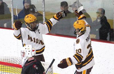 Northfield boys hockey bests Albert Lea to reach section championship ...