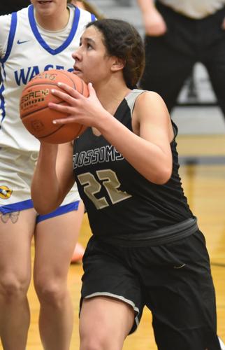 NRHEG's Schultz highlights OPP All-Area girls basketball as OPP All ...