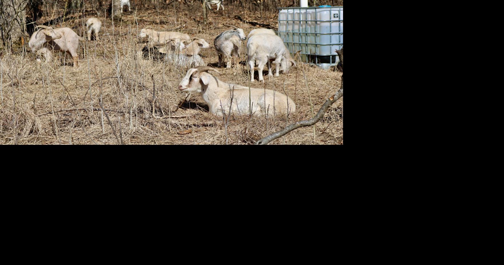 River Bend capital projects made possible with partnerships | News ...