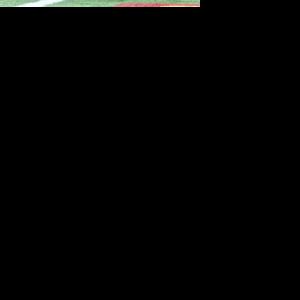 Engagement: Amanda Elizabeth Hoehn and Joseph Anthony DeLisi, Jr. of ...