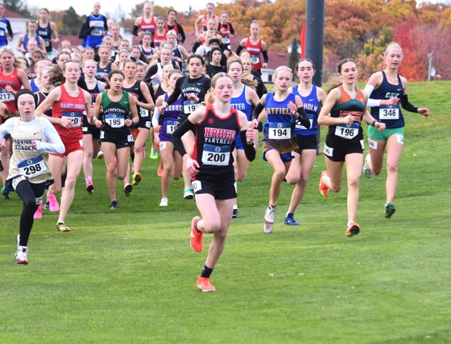 YEAR IN REVIEW: State champions, state runner-ups, and deep section ...