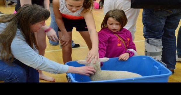 Annual early childhood education fair returns for 40th year | News ...