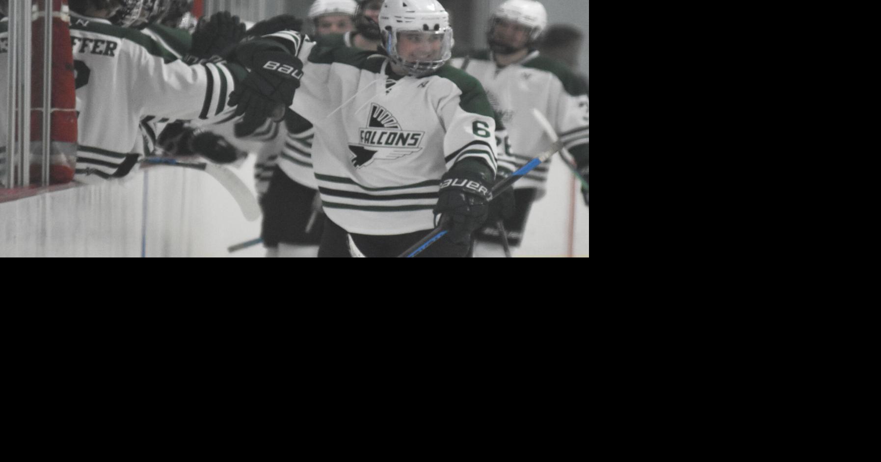 Faribault Hockey Day ends with 4-1 Falcons win over Red Wing | Sports ...