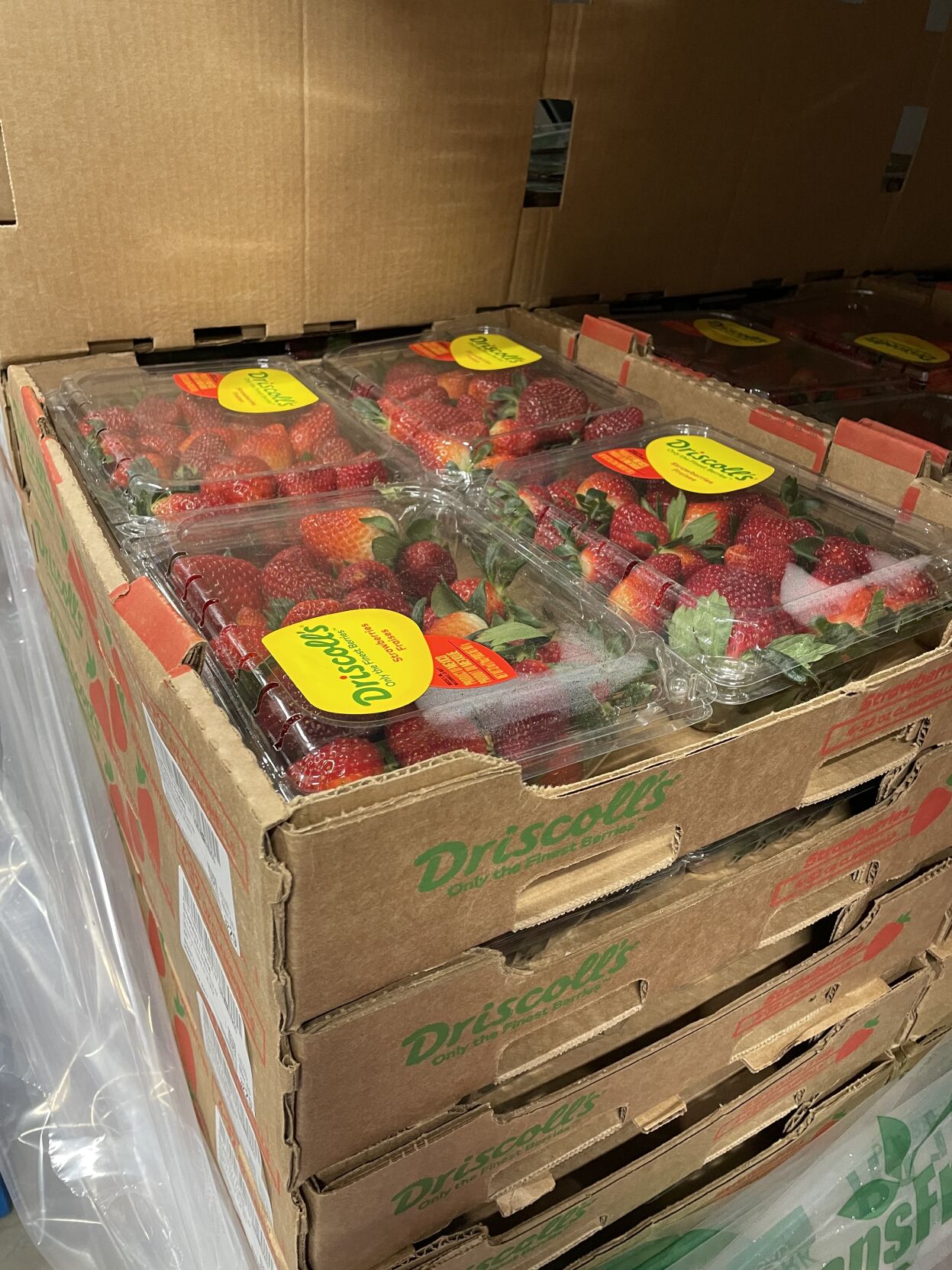 Community Pathways saves 19,000 pounds of strawberries | News ...