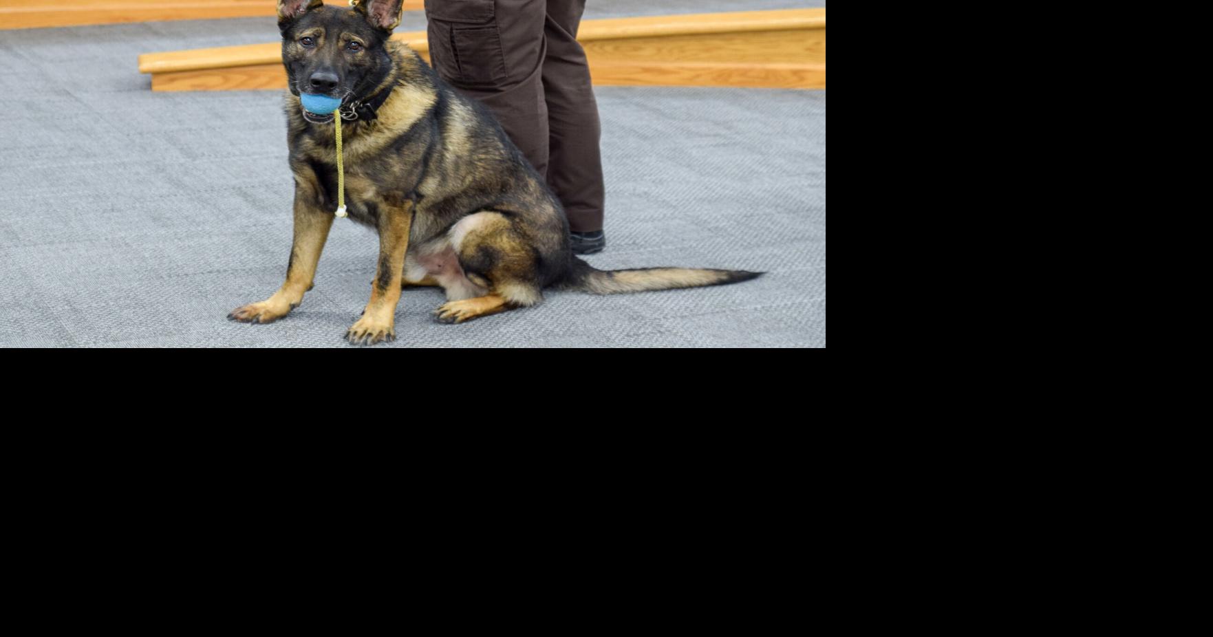 K9 Riggs retires after 7 years of service in Rice County Sheriff's ...