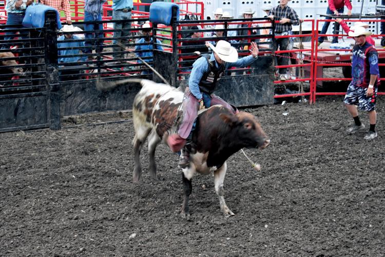 2017 Fair gets off to bullish start with opening night bull riding ...