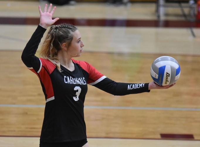 FALL SPORTS GUIDE: Bethlehem Academy Volleyball | Sports | southernminn.com