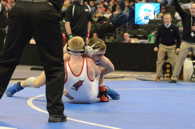 Owatonna's Peyton Robb captures Class AAA state title; 3 more Huskies ...