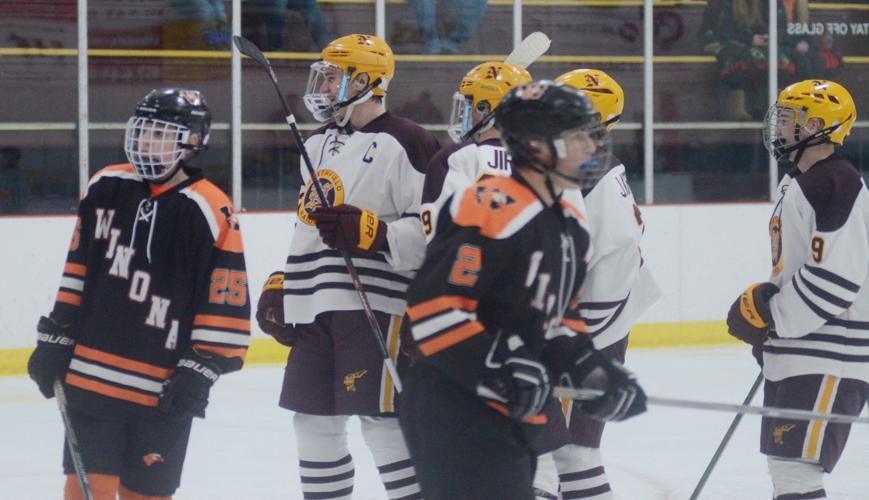 Boys hockey: Senior Halvorson looking to score one more trip to state ...