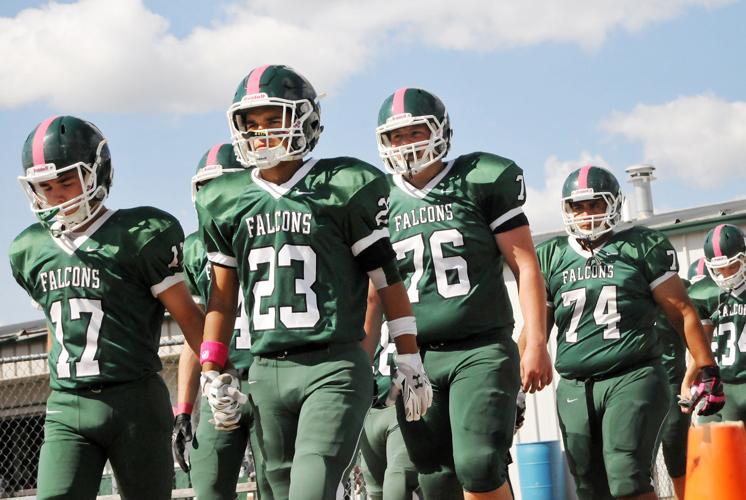 GALLERY: Scenes from the Faribault High School football game Saturday ...
