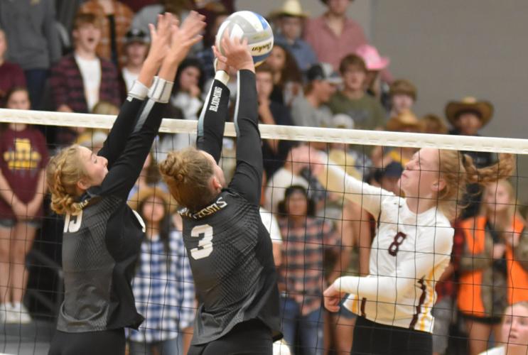 Area volleyball teams prepare for section playoffs | Sports ...