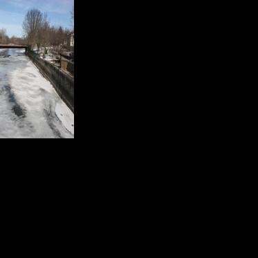 Duck, Duck, White Duck on the Cannon | News | southernminn.com