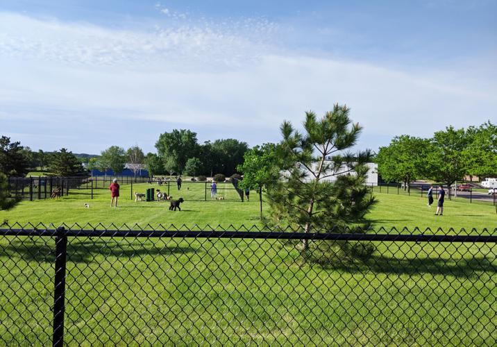 After year of work and advocacy, new St. Peter dog park opens | News ...