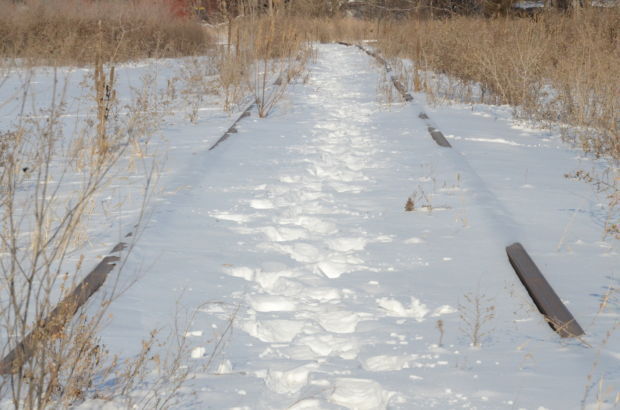 Rice County warrants study for proposed inter-city passenger rail ...