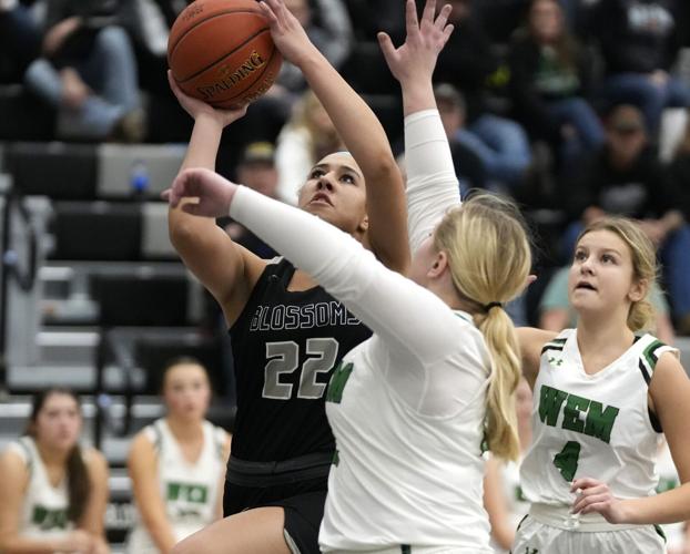 NRHEG's Camryn VanMaldeghem highlights All-Area Girls Basketball as ...