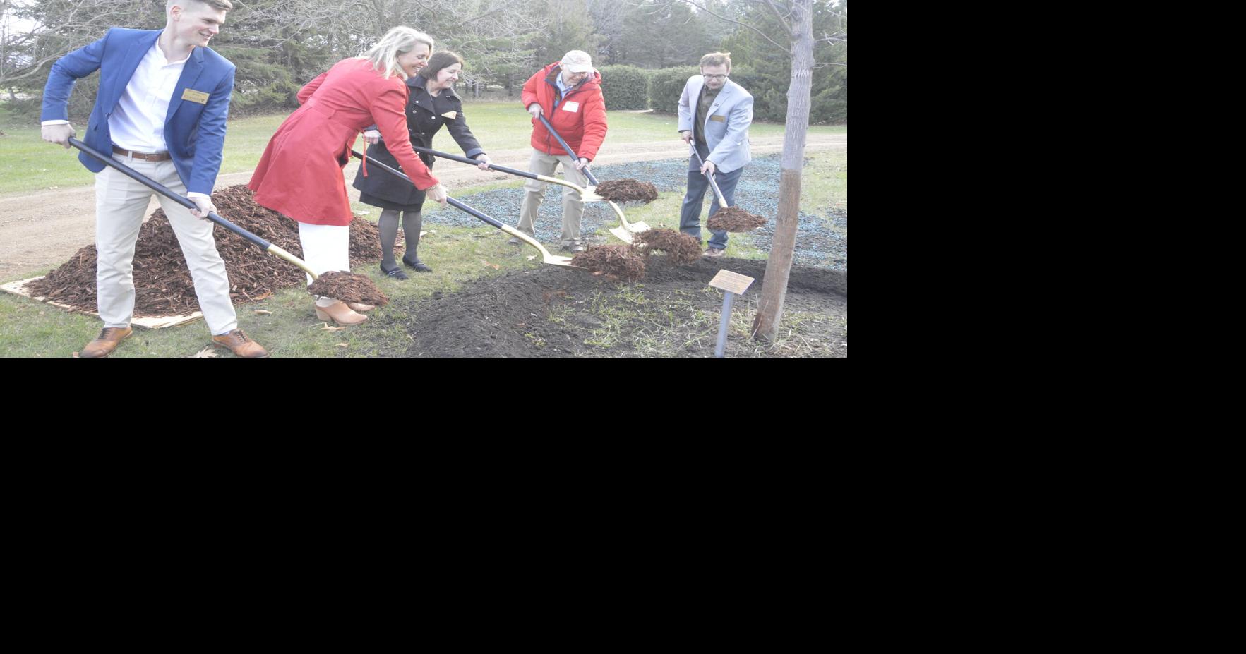 Tree planted in celebration of Gustavus Arboretum's 50th anniversary ...