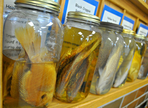 Students from Cleveland tour Waterville fish hatchery | News ...