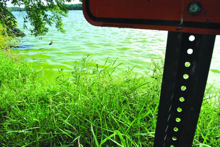 Circle Lake Association leading charge to improve water quality | News ...
