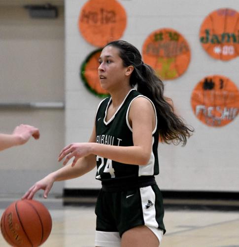 Falcons girls lose to No. 1 team in conference | Sports | southernminn.com